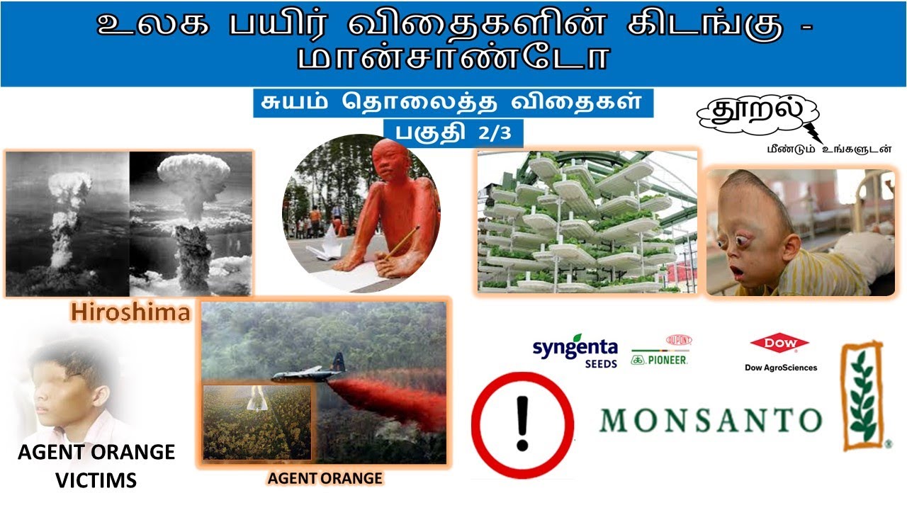 GMO SEEDS PART 2 - YouTube