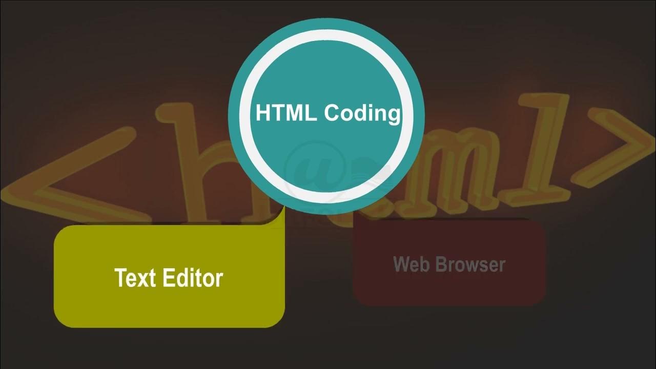 Ch 1 - Creating Web Pages in HTML | Structure of HTML Document - YouTube