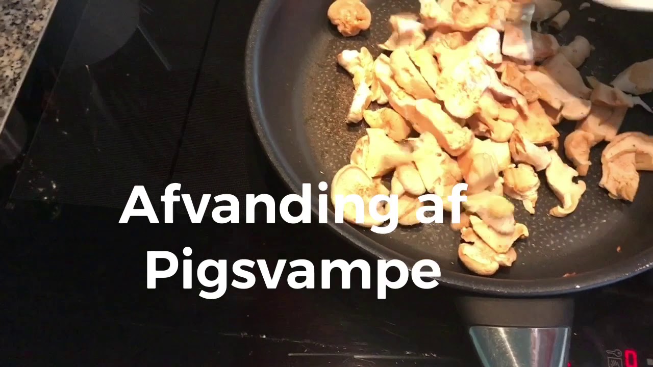 Afvanding af pigsvampe - YouTube