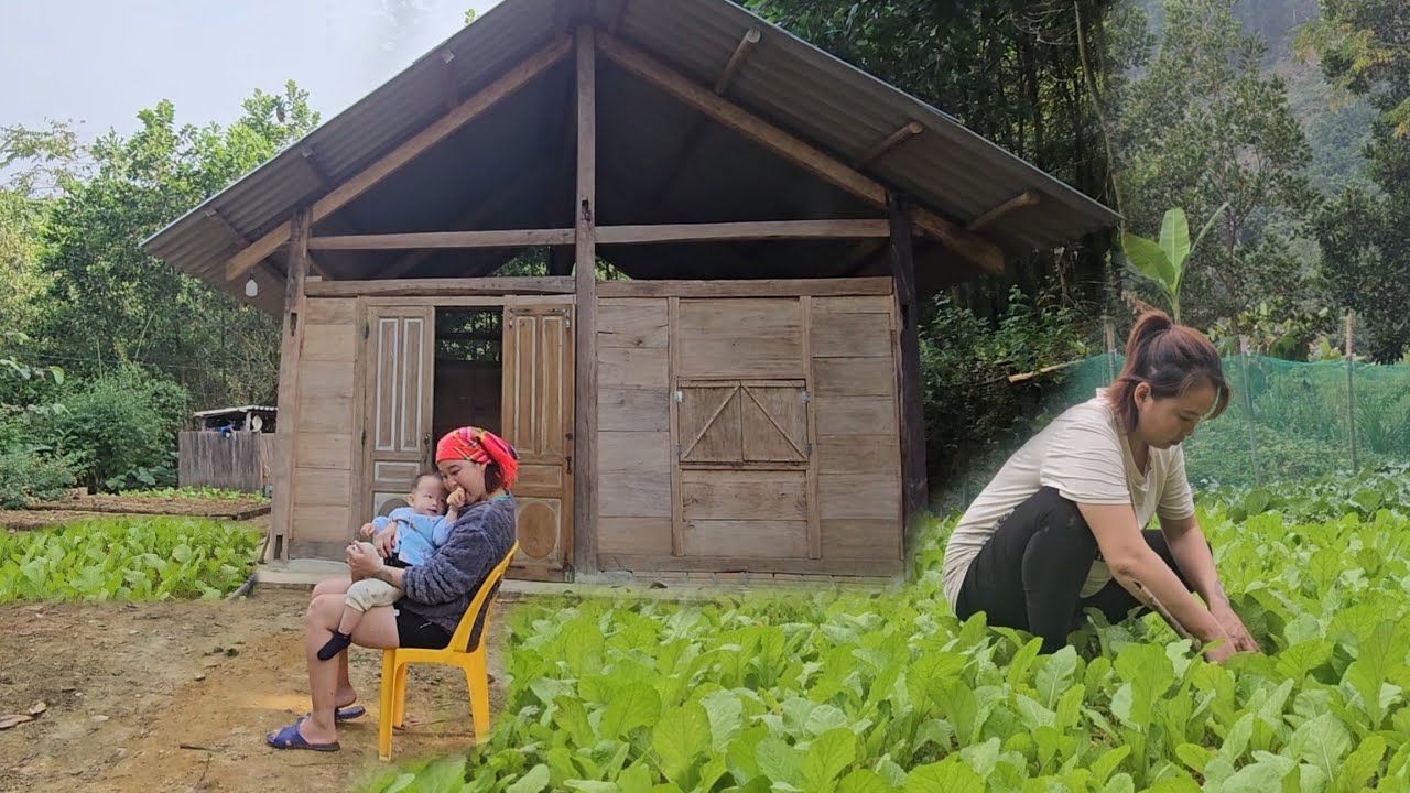 Clean up the long abandoned farm, grow vegetables in the garden - YouTube