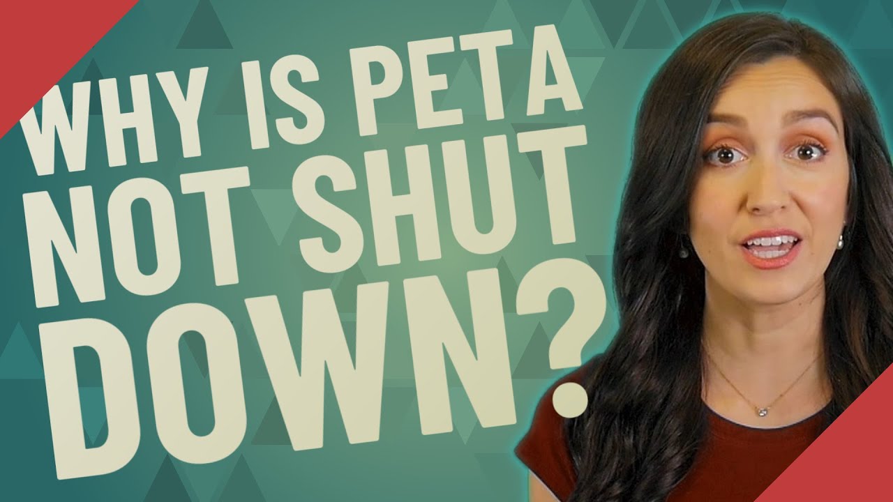 Why is PETA not shut down? - YouTube