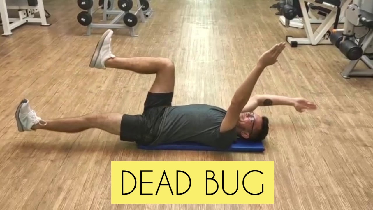 DEAD BUG - YouTube