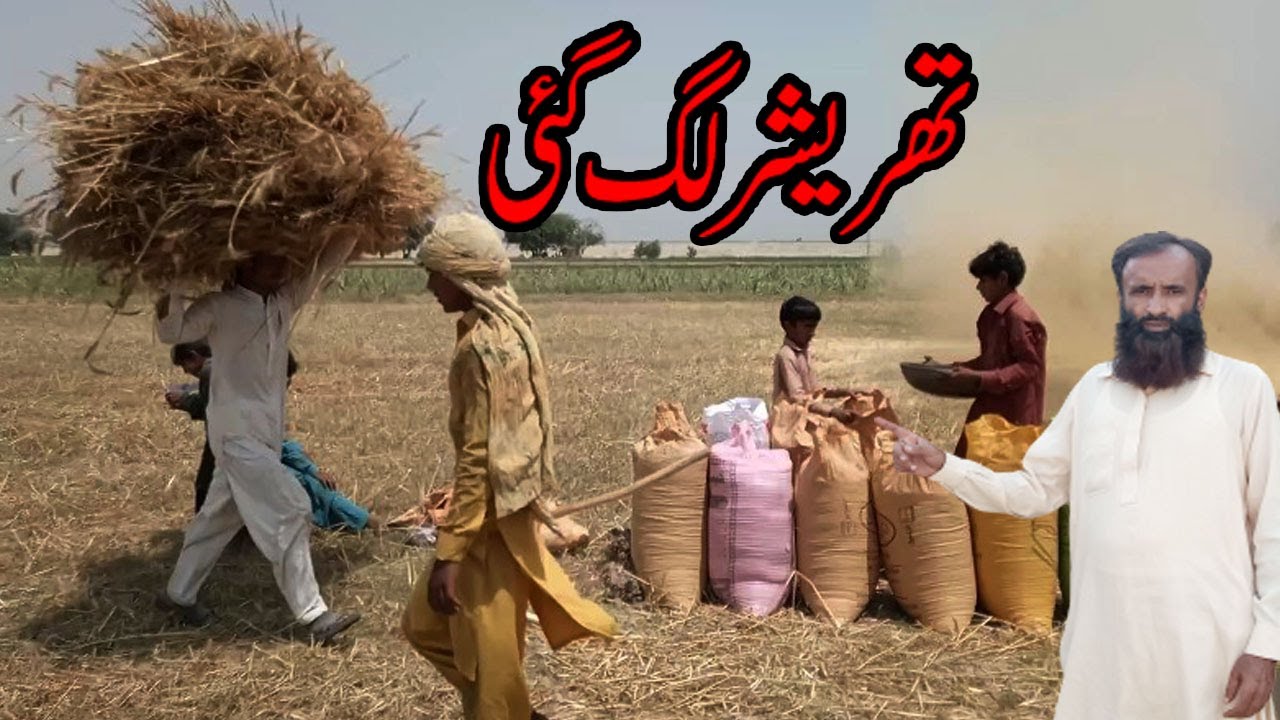Daily Vlogs Pakistan | Pakistani Vlogger | Daily Family Vlogs | Desi ...
