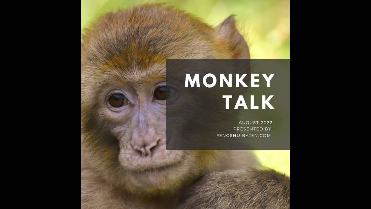 Monkey Talk | August 2022 - YouTube