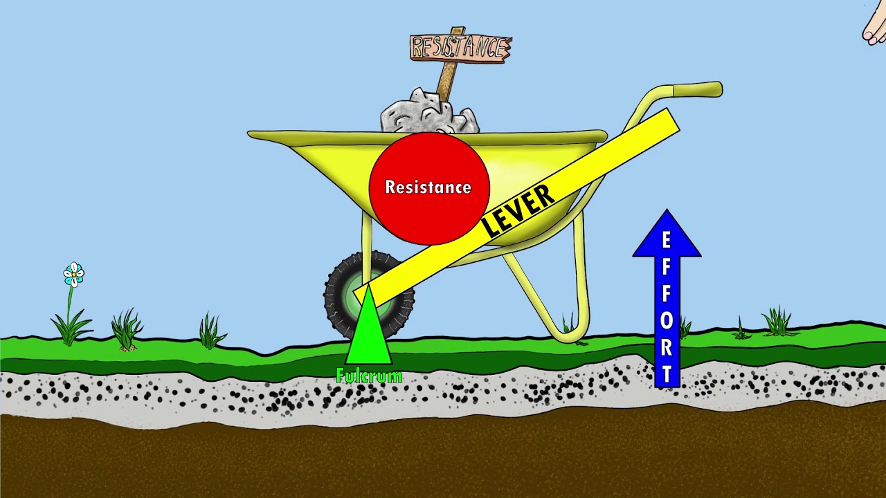 Lever Examples In Everyday Life