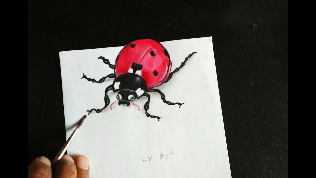 Very Easy !! How to Draw 3D Ladybird 3D Trick - YouTube