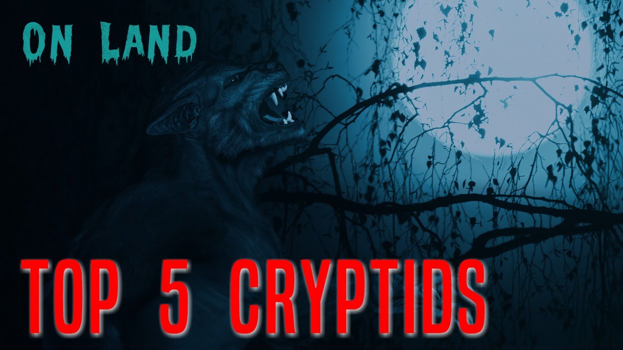 TOP 5 CRYPTIDS - On Land - YouTube