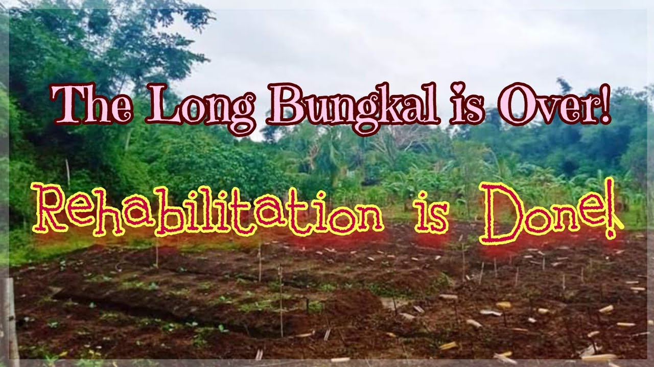 PART 2 | The long BUNGKAL is Over! Rehabilitation is DONE! YEHEEEY ...