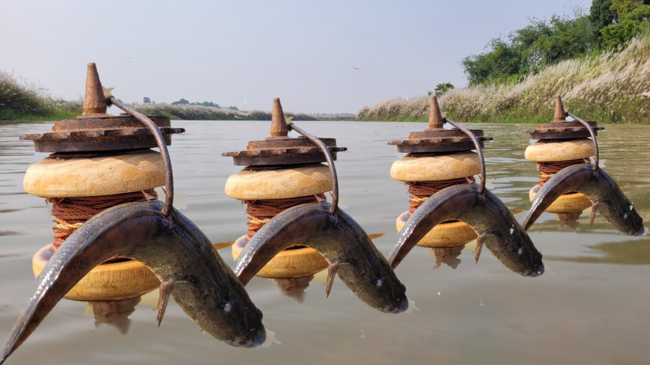 Wow Best Wheel Hook fishing System Popular Hook Fish Catching trap in ...