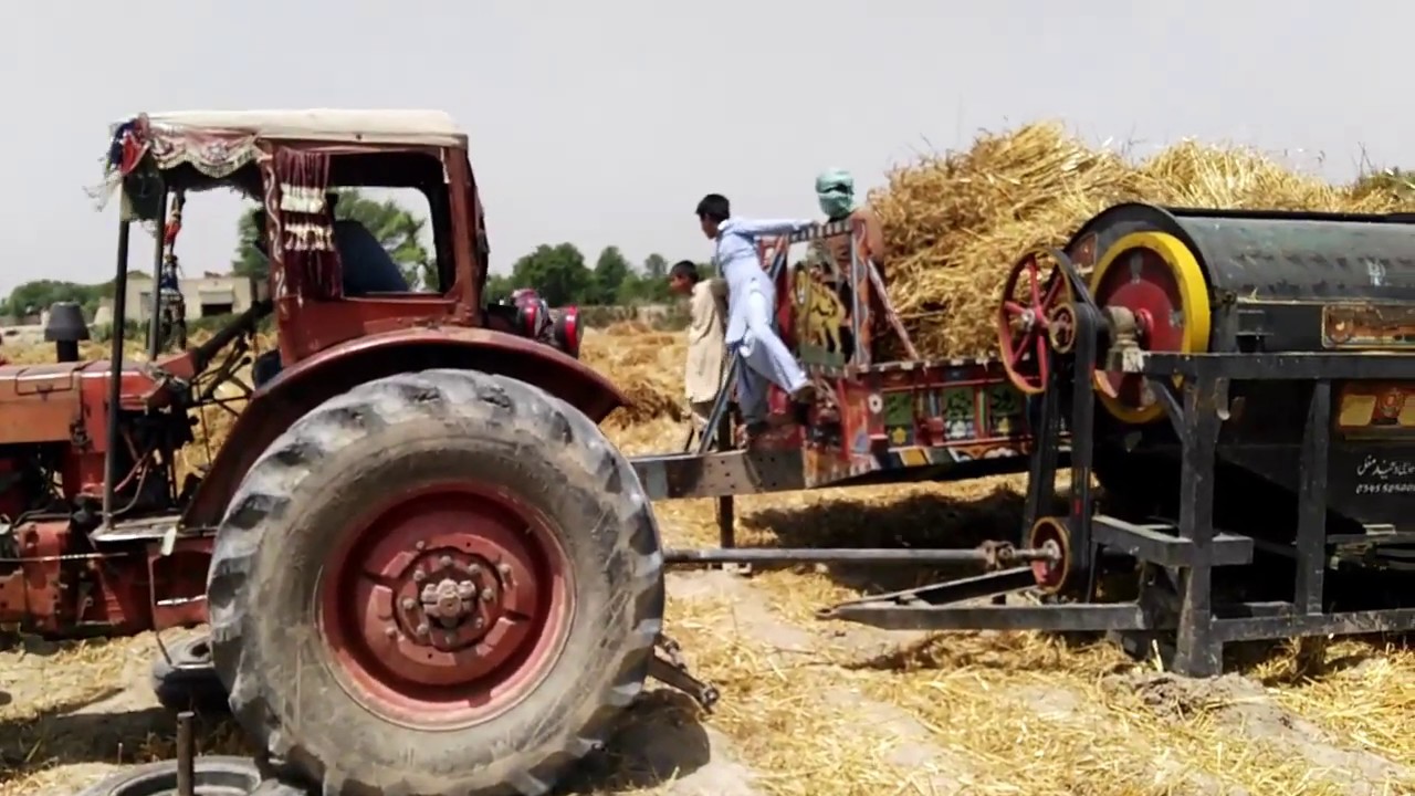 Direct loading system| MTZ50 tractor operate wheat thresher machine ...