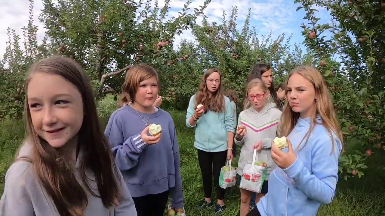 MESA and Pietree Orchard - YouTube