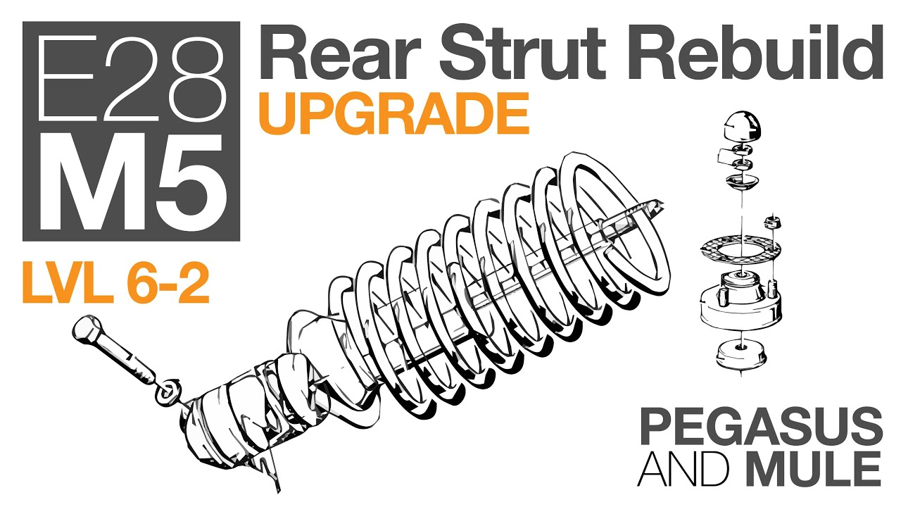 BMW E28 M5: LVL 6-2 Rear Strut Rebuild SLS Replacement Upgrade - YouTube