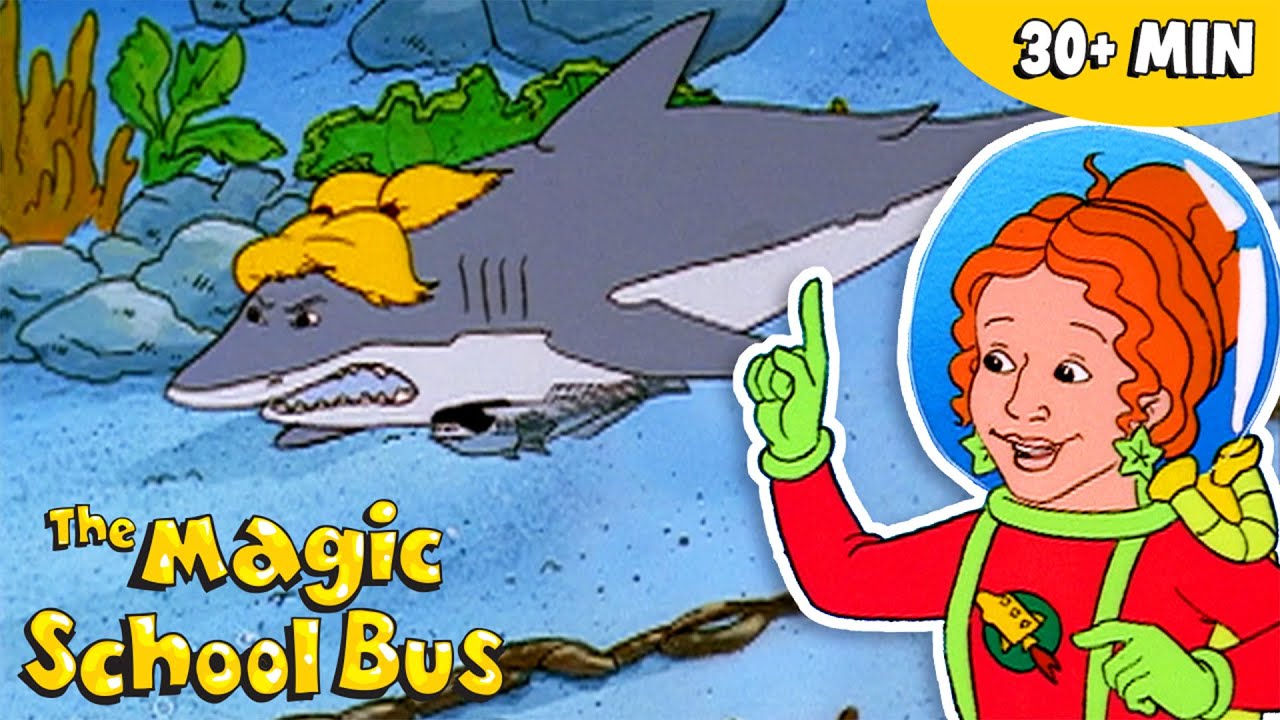 Amazing Animal Science | Science for Kids | The Magic School Bus - YouTube