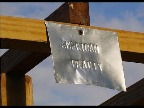 Recycled Aluminum Plant Tags / Labels for Marking Fruit Trees - Metal ...