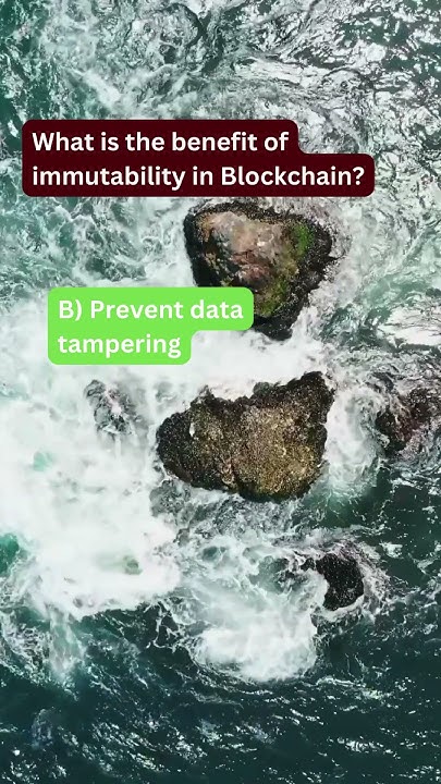 What is the benefit of immutability in Blockchain? #Trust #Immutability ...