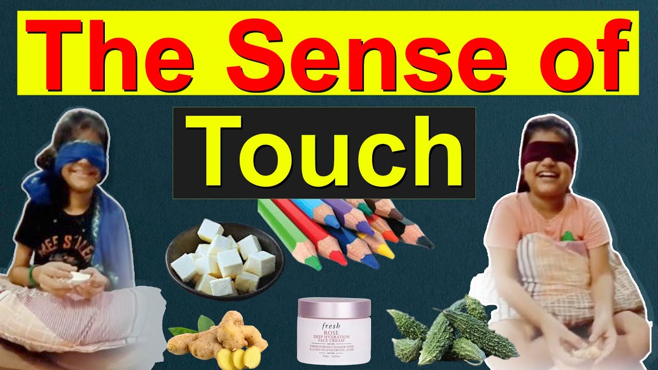 The Sense of Touch | Senses for Kids - YouTube