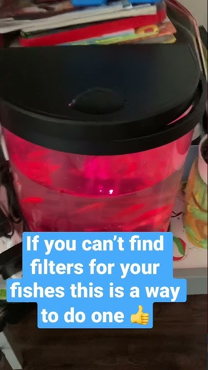 How to make your own filter with a sponge 🧽 - YouTube