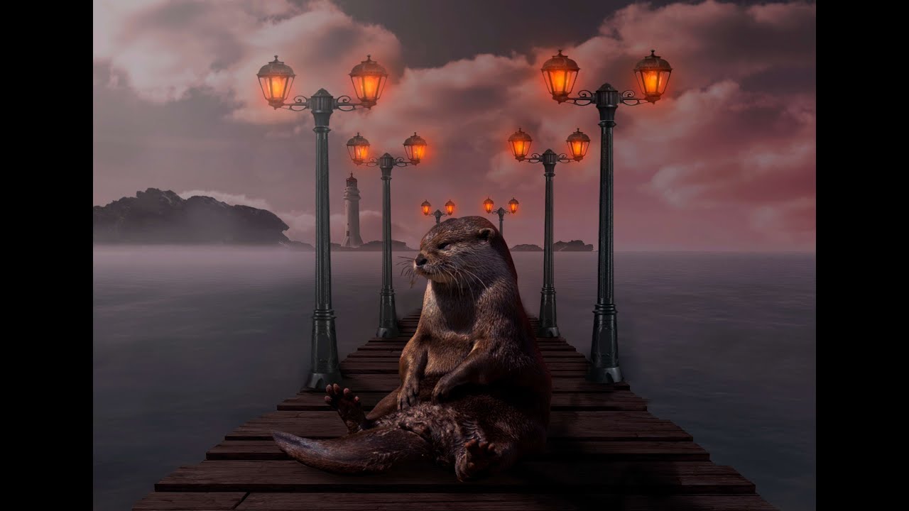 The Lonely Otter with Photoshop Adobe (Chú rái cá cô đơn) - YouTube