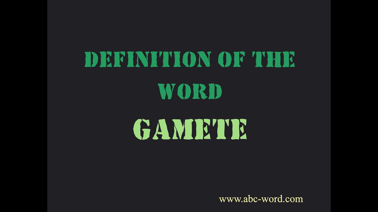 Definition Of The Word Gamete YouTube definition-of-the-word-gamete-youtube
