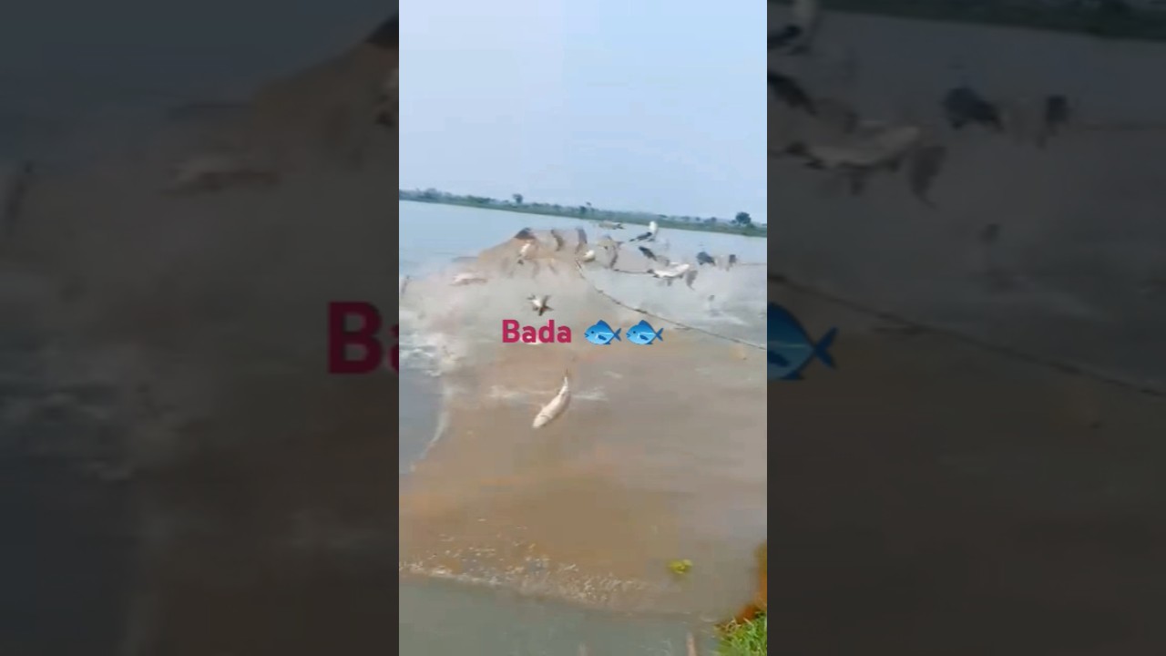 bada fishing 🎣🎣 #bollywood #fishing - YouTube