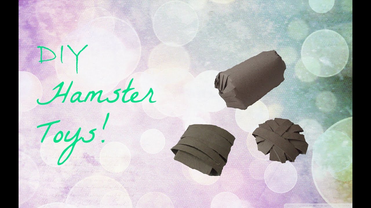 DIY Hamster Toys - YouTube