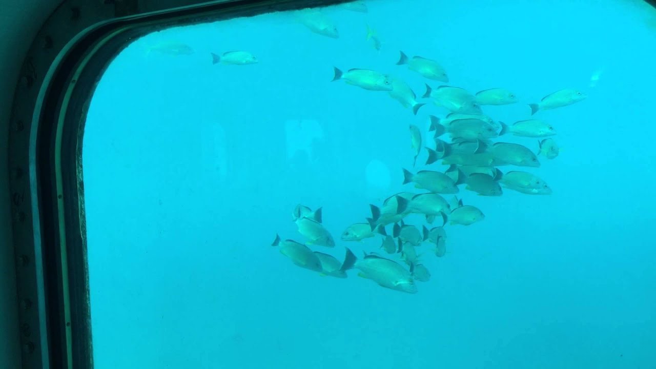 Fish Eye Marine Park, Guam - YouTube