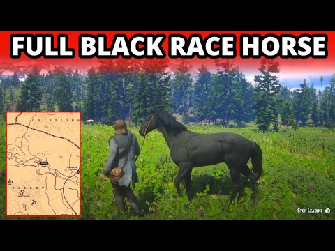 FULL BLACK RACE HORSE LOCATION & TAMING IN 60 SECS - RDR2 - YouTube