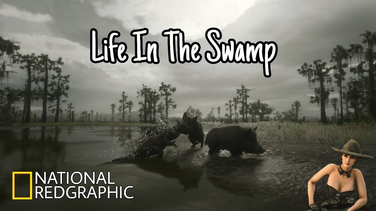 Life In The Swamp - Red Dead Redemption Documentary - YouTube