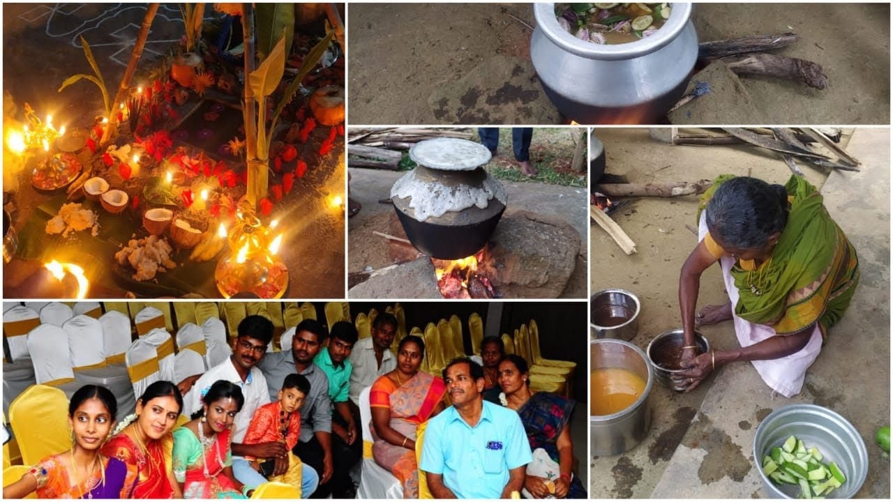 Patti pongal pollachi style | Pongal celebration | Mattu pongal Vlog ...