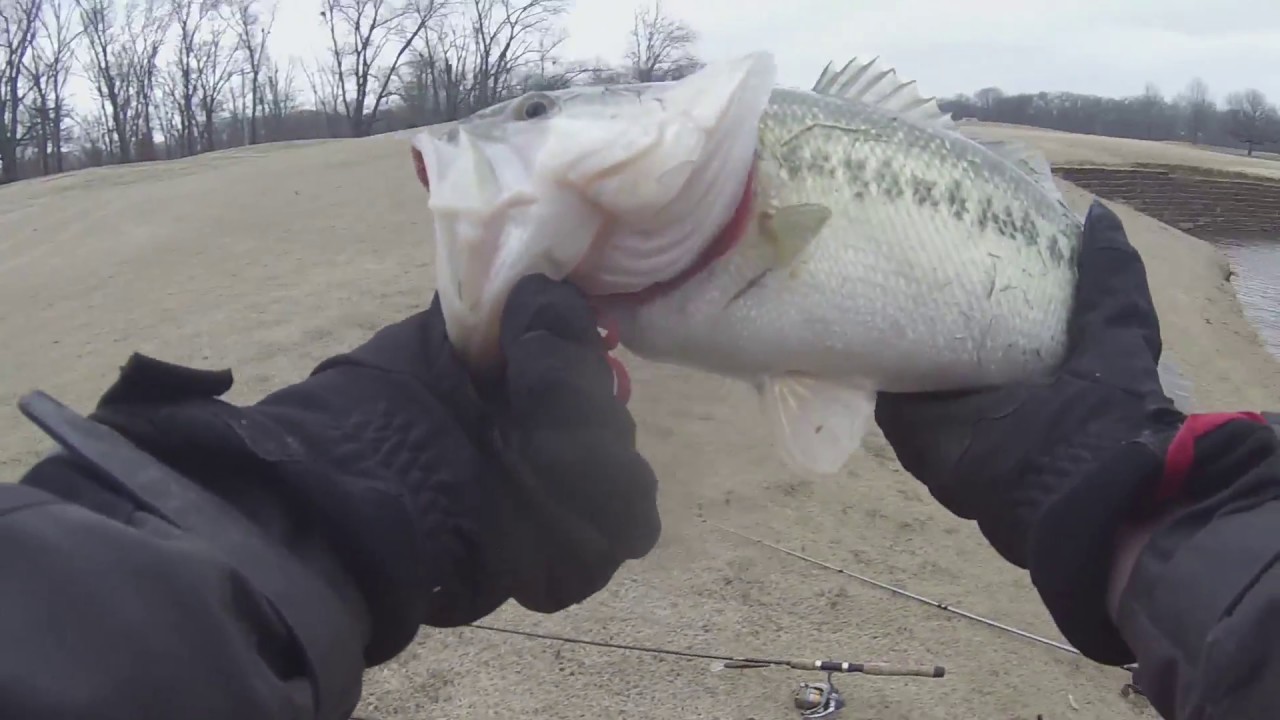 Craziest Fish Catch Ever!!! - YouTube