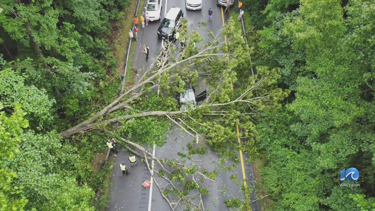 Only On 10: Woman shares story of tree falling on car - YouTube