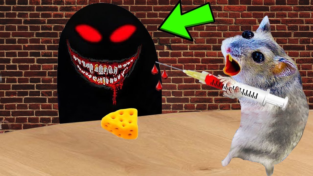 🐹 Hamster Funny VS Talking Tom in maze with Traps 🐹 #hamsterDIY #pet ...