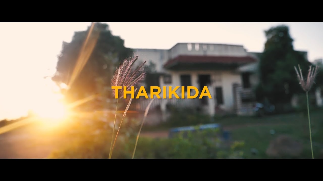 Tharikida | Short Film 4k | - YouTube