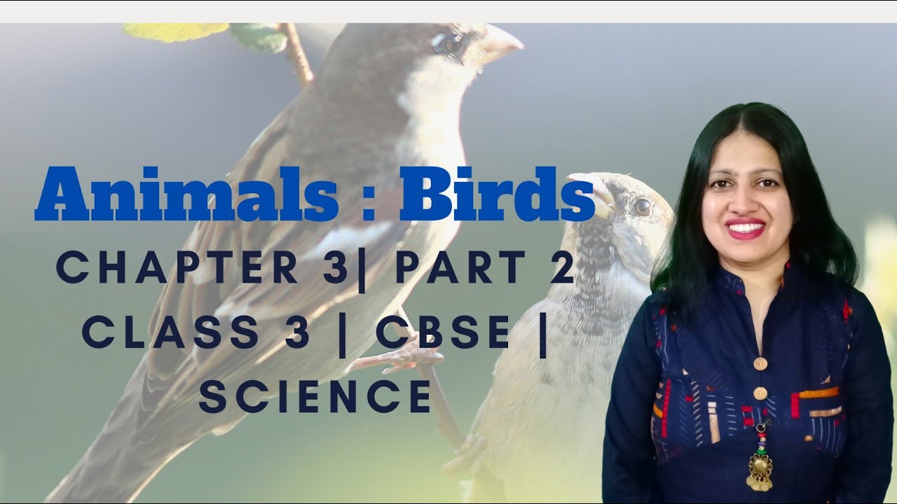 CBSE | Science | Class 3 | Animals : Birds | Video Explanation by ...