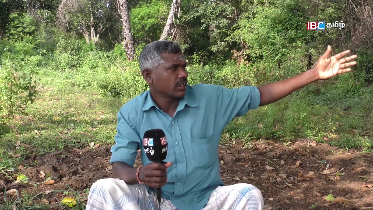 Kumulamunai, Srilanka |Oor Mutram 11-02-2017 | IBC Tamil TV - YouTube