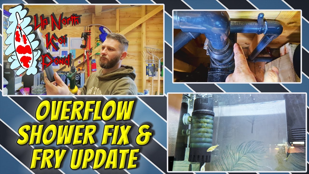 Overflow Install, Shower Tracking Fix & Fry Update - YouTube
