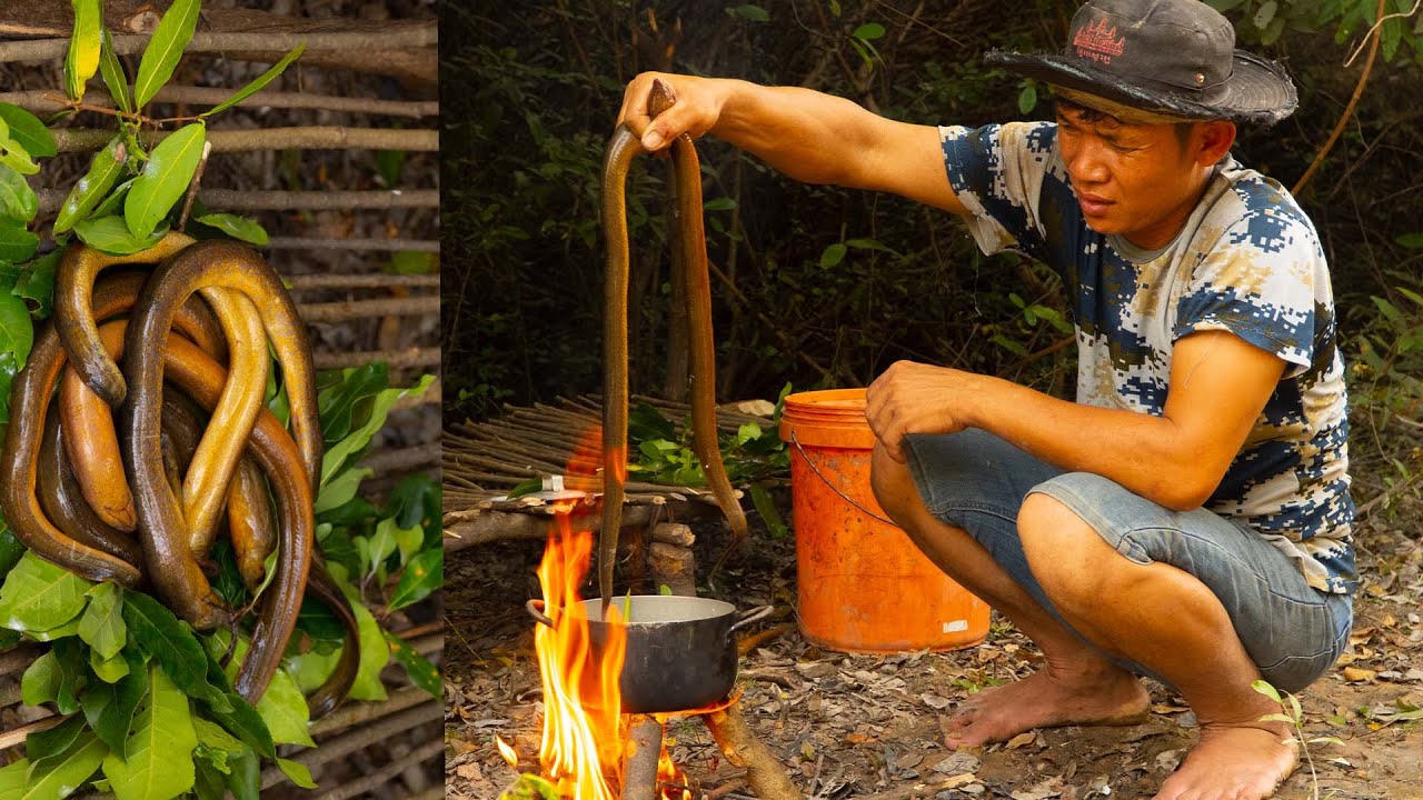Jungle Cooking- Catch And Cook- Eel Cook With Sour Red-Ant And Eat In ...