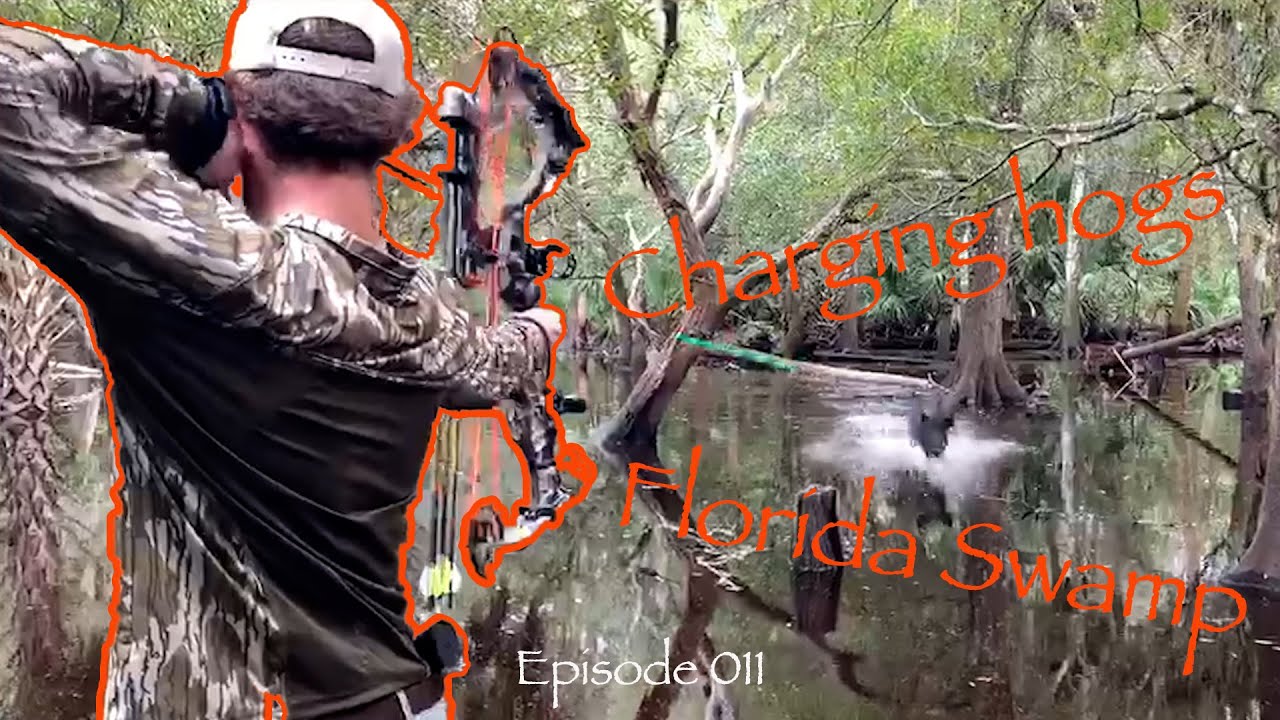 Crazy hog attack at full draw! Must watch! - YouTube