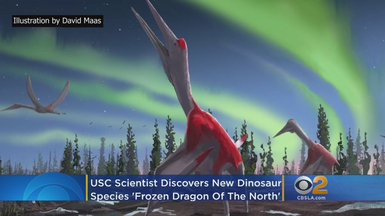 USC Scientist Discovers New ‘Frozen Dragon Of The North’ Dinosaur ...