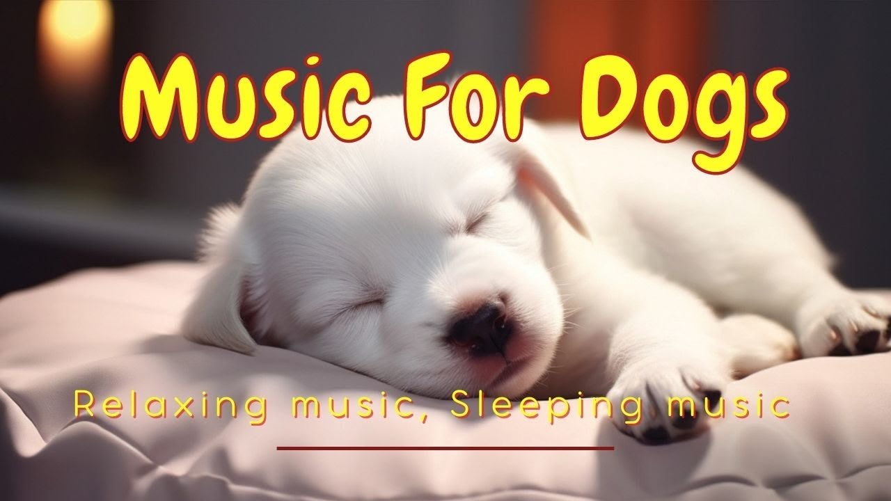 Music for Dogs | Relaxing sounds for anxious dogs! Music cures insomnia ...