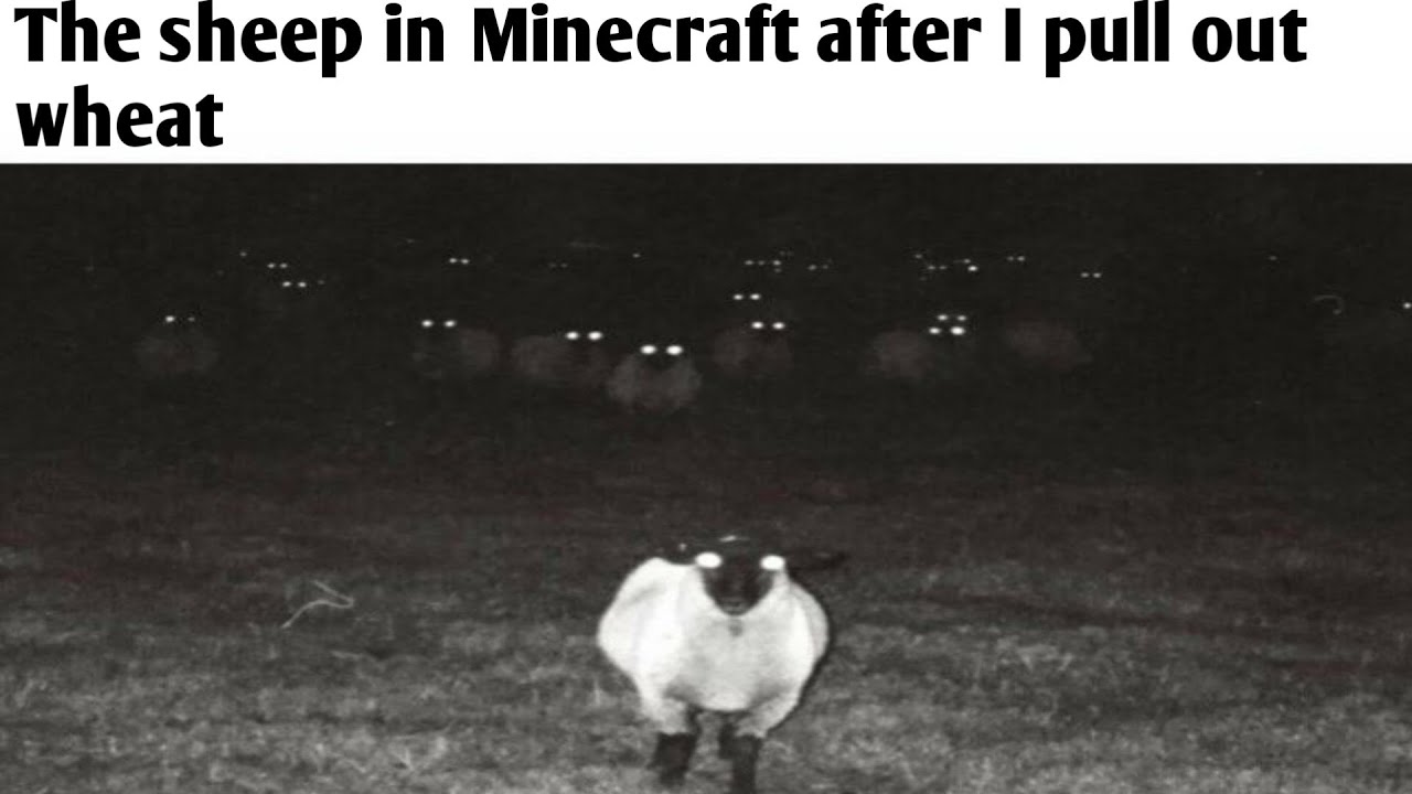 The Funniest Minecraft Memes You Need in Your Inventory! - YouTube