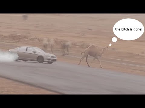 Saudi Drift - THE MOST FUN KIND OF DRIFT