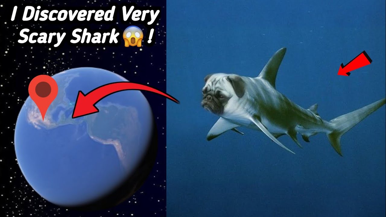 😱 I Discovered So Scary Shark On Google Earth and Google Maps! - YouTube