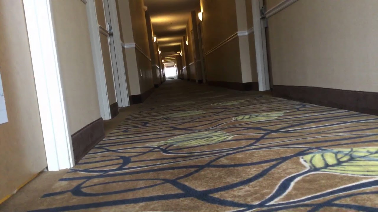 Never Ending Hallway - YouTube