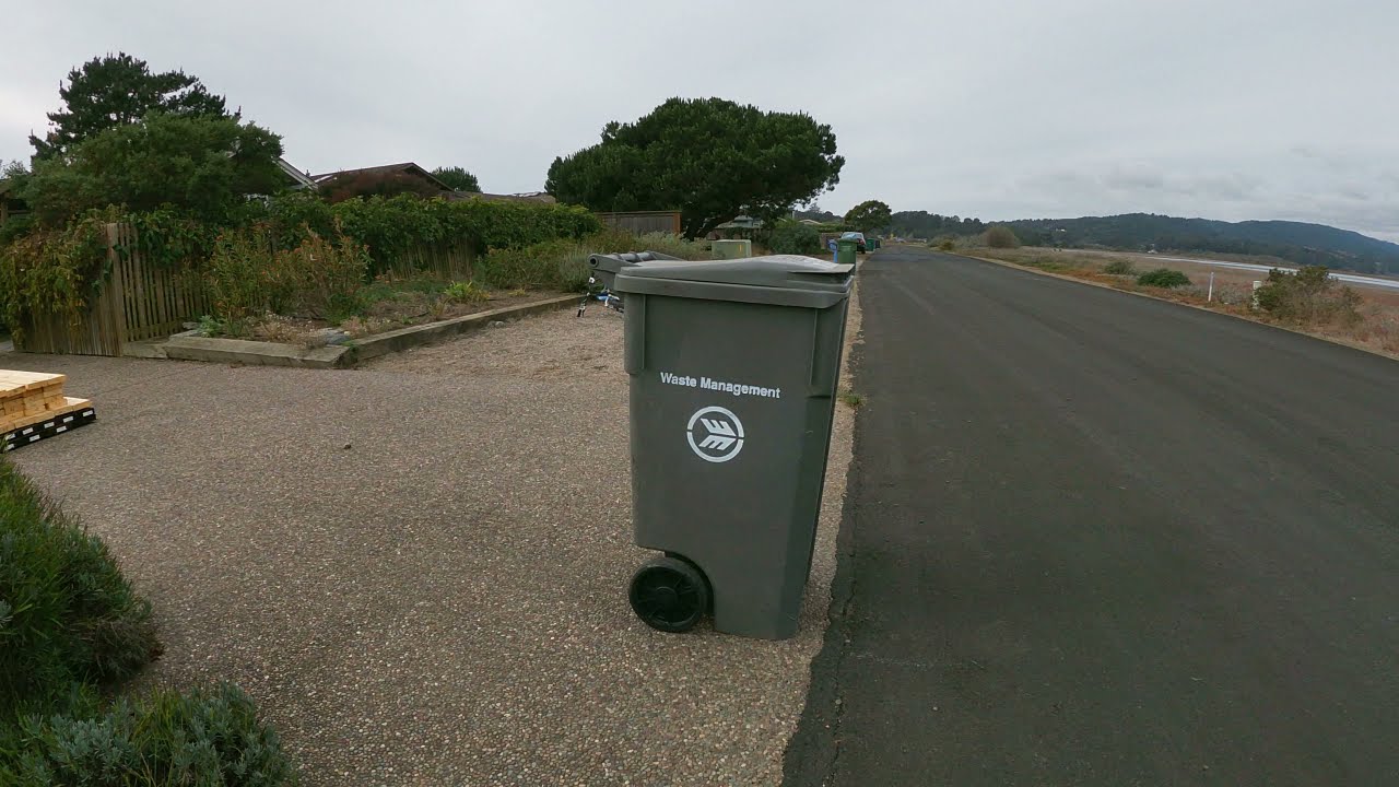 Super RARE 36 Gallon Gray WMX Cascade!! - YouTube