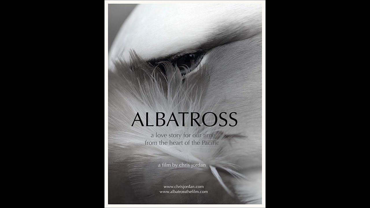 [예고편] 앨버트로스(ALBATROSS, 2017) film trailer - YouTube