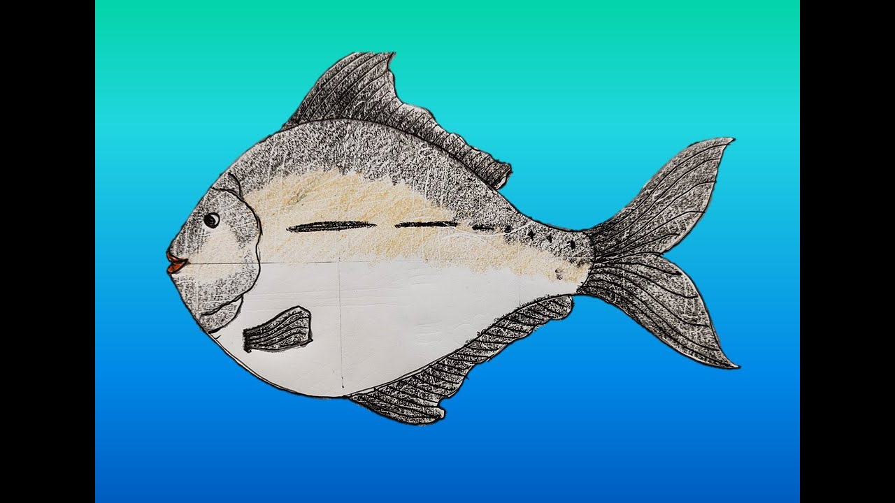 Shaira's Arts & Crafts School-Drawing Episode 46 (Pomfret) - YouTube