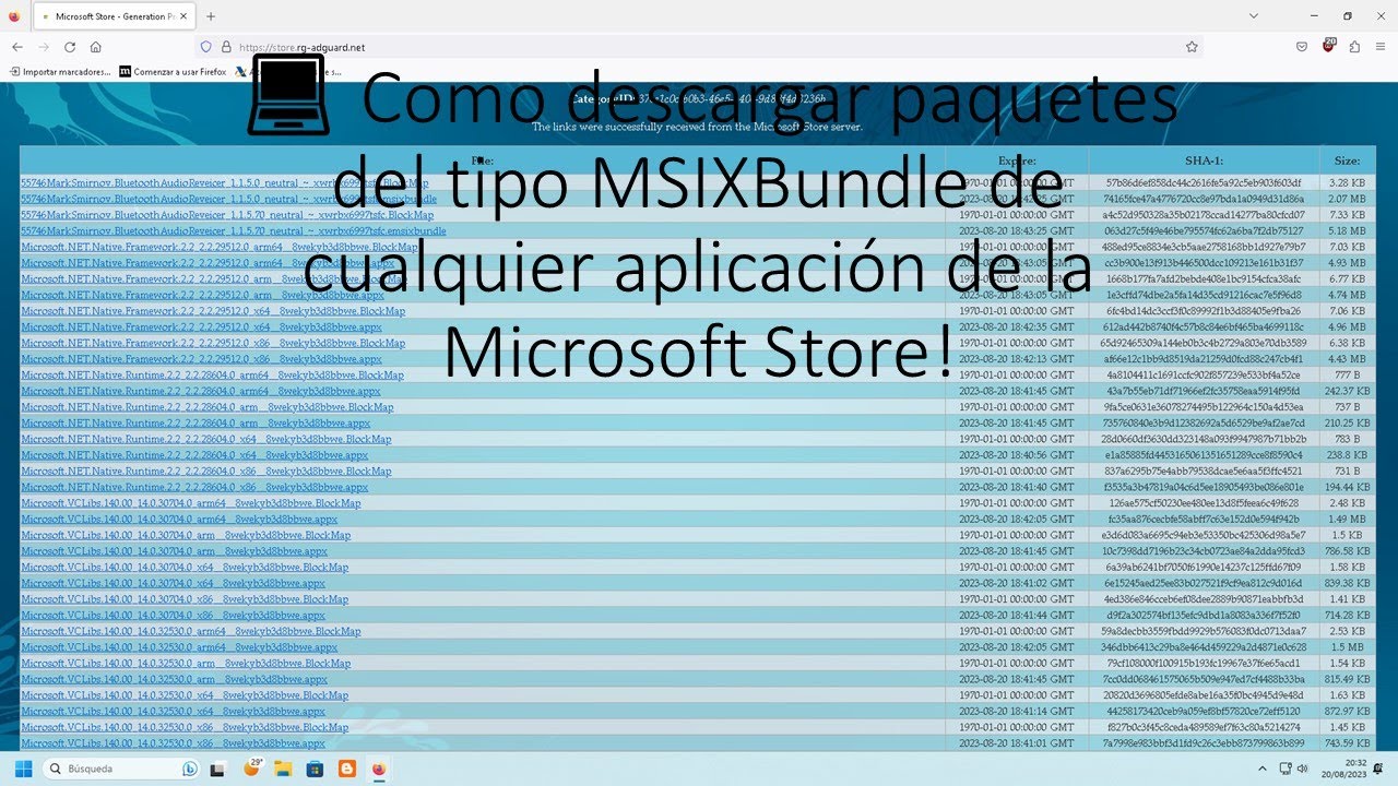 💻 Como descargar paquetes del tipo MSIXBundle de cualquier aplicación ...