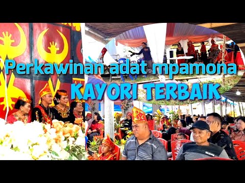Perkawinan Adat Pamona-Poso Kayori Atau Pantun Sampai Payung Juga Ikut Jatuh