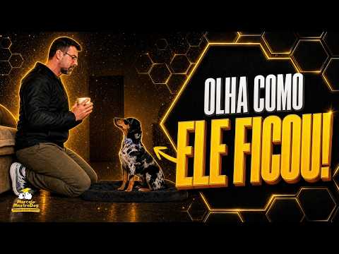 Cachorro Muito Agitado: Veja Como Terminou a Aula! (Parte 2)